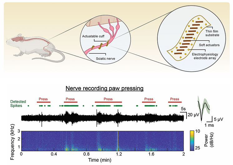 Research | Dong Group